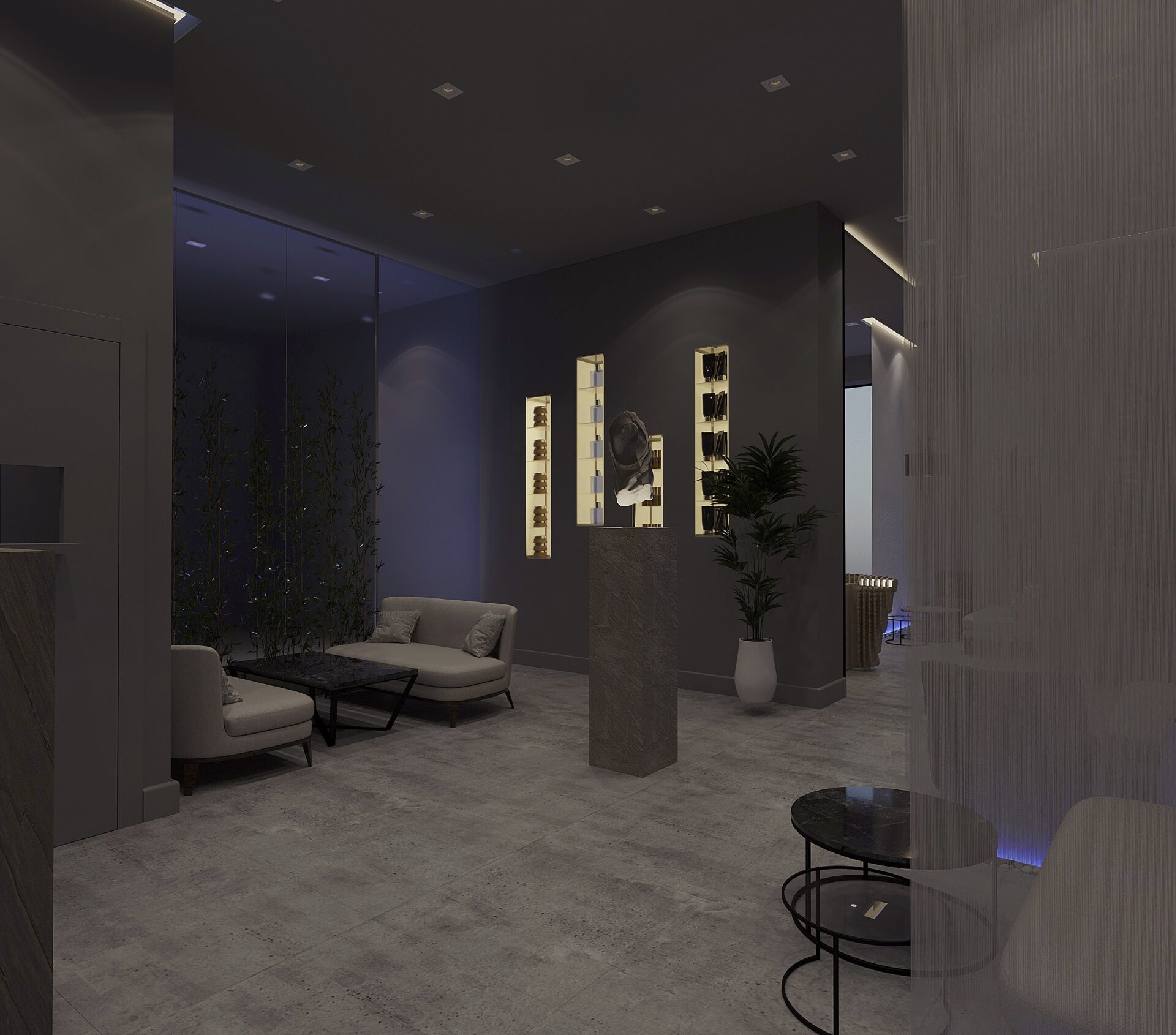 Laser Aesthetic Dermatology | Interior Design and Architecture